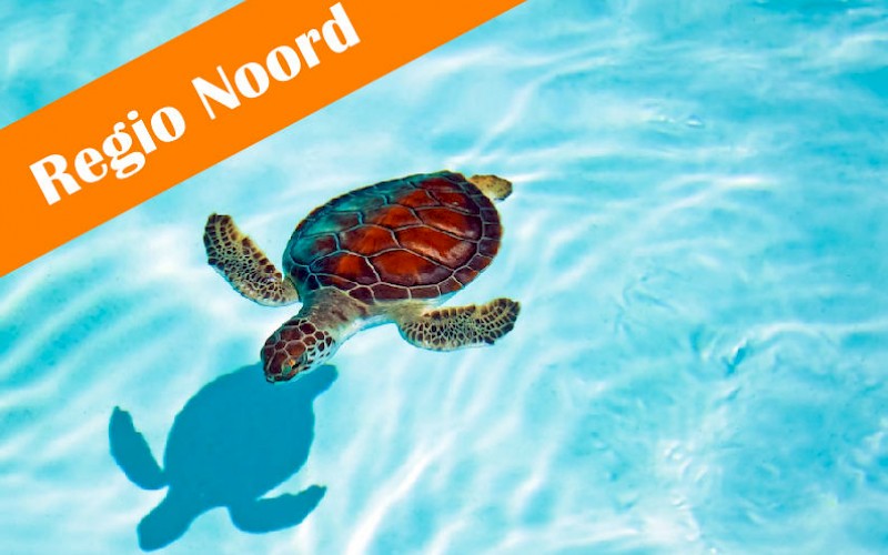 Goedkope zomervakanties 2026 (Regio Noord)